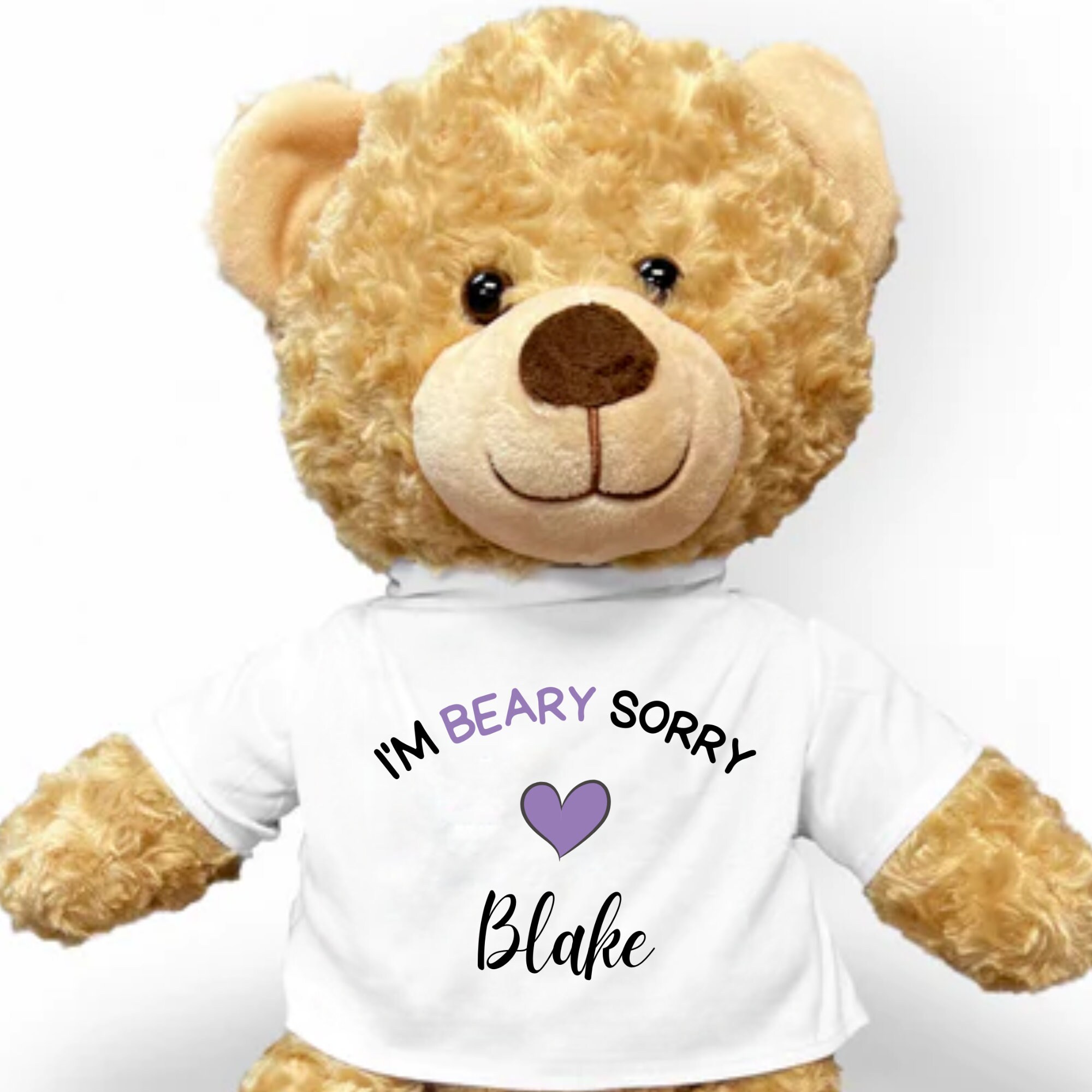 Im Sorry Teddy Bear, Im Beary Sorry Bear, Sorry Teddy Bear, I'm Sorry ...