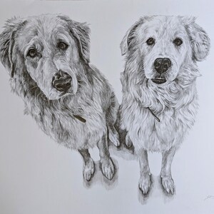 Pencil Drawing Pet Portrait From Photo Custom Hand Drawn Sketch Framed ...