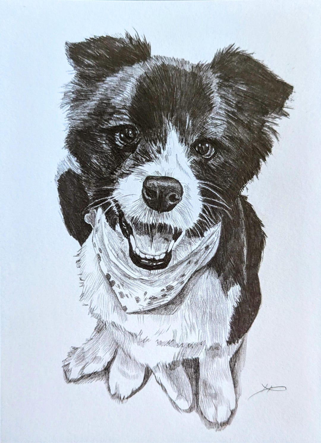 Pencil Drawing Pet Portrait From Photo Custom Hand Drawn Sketch Framed ...