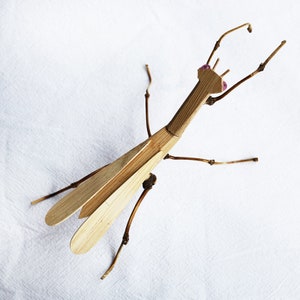 Bamboo Insect Mantis Beetle Sculpture Mini Insects Statue - Etsy