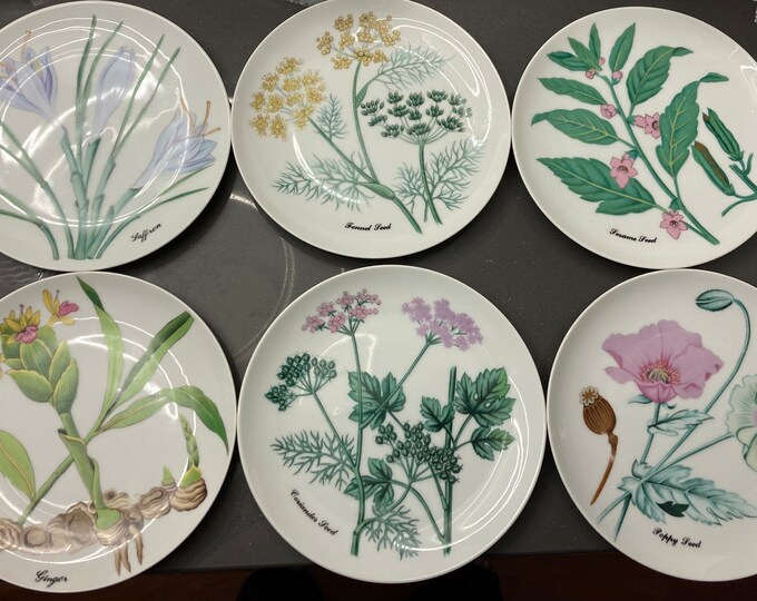 Set of 6 Vintage Horchow Herb Plates - Etsy