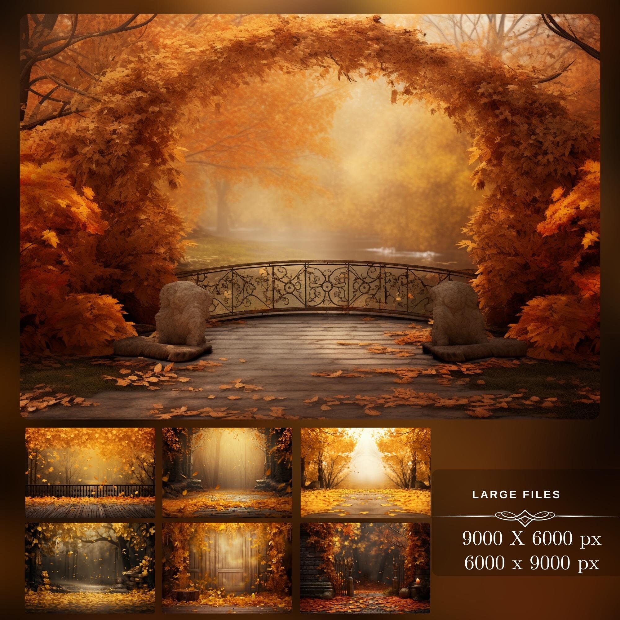 Autumn Leaves PS Overlay: 30 Leaves Overlay and Fall Backdrops With ...