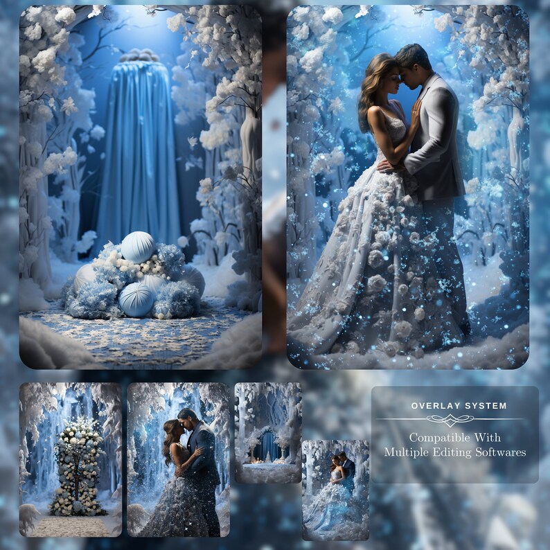 Winter Landscape Wedding Arch Backdrop: 30 Frozen Background Set & 10 ...