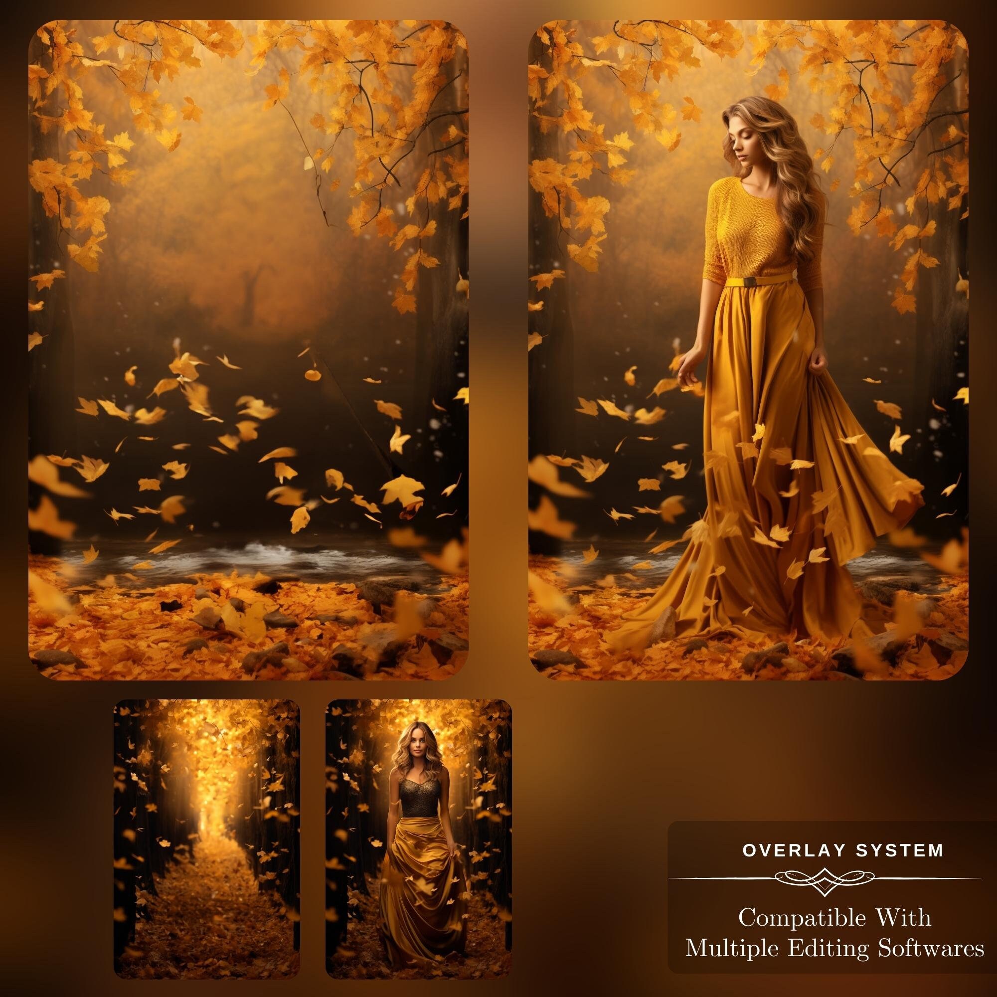 Autumn Leaves PS Overlay: 30 Leaves Overlay and Fall Backdrops With ...