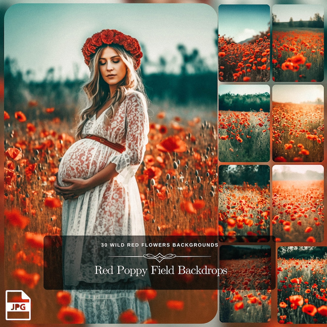 Vibrant Red Poppy Field Art: 30 Poppy Blossoms Overlay for Photoshop ...
