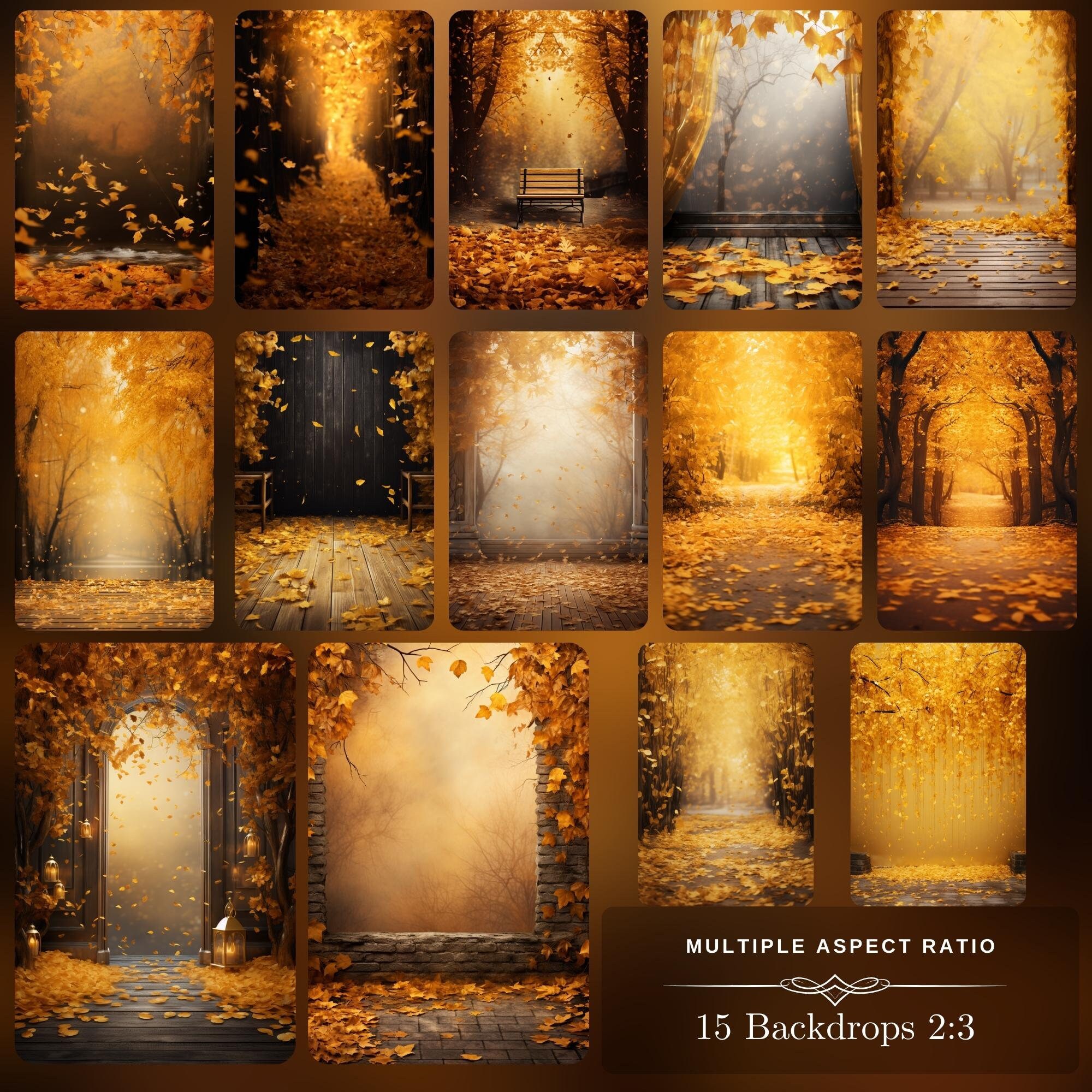 Autumn Leaves PS Overlay: 30 Leaves Overlay and Fall Backdrops With ...