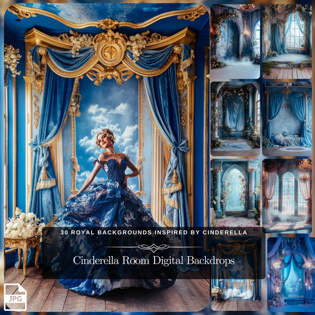 Cinderella Room Digital Backdrops: 30 Cinderella Castle Magic Kingdom ...