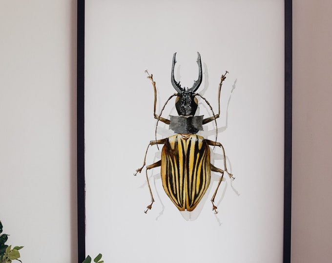 Macrodontia Cervicornis Sabertooth Longhorn Beetle Linocut Print - Etsy