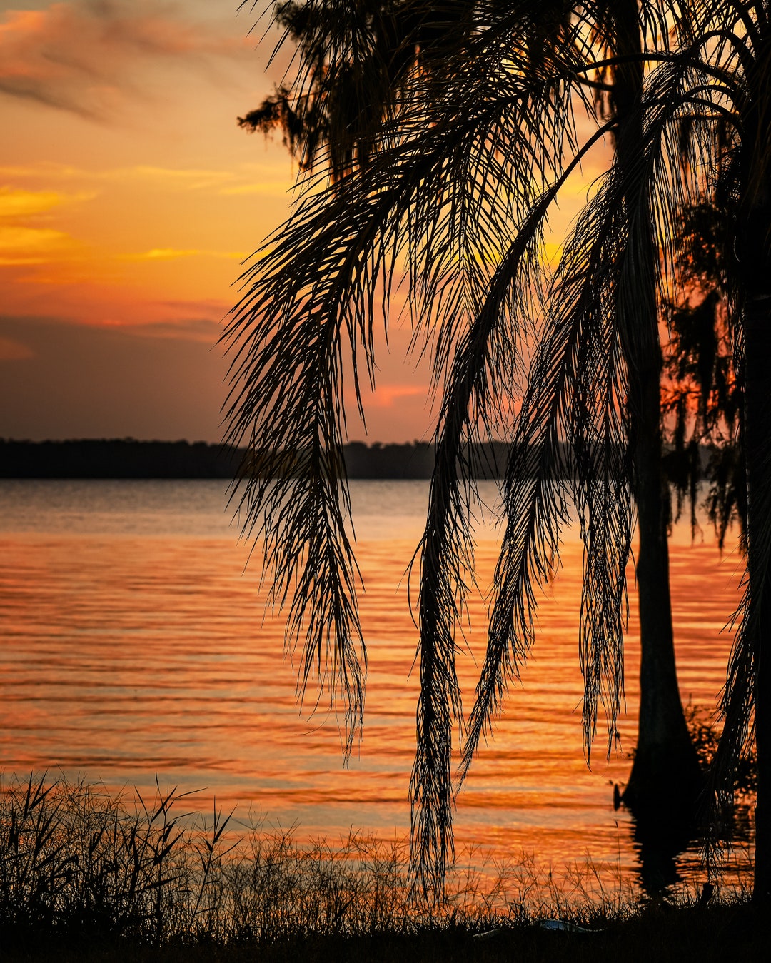 Palm Tree Sunset Silhouette Photo, Fine Art Print - Etsy