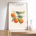 Impression du marché aux fruits, Affiche de fruits, Galerie botanique ...