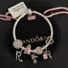 Pandora Bracelet With 30th Birthday Themed Charms - Etsy