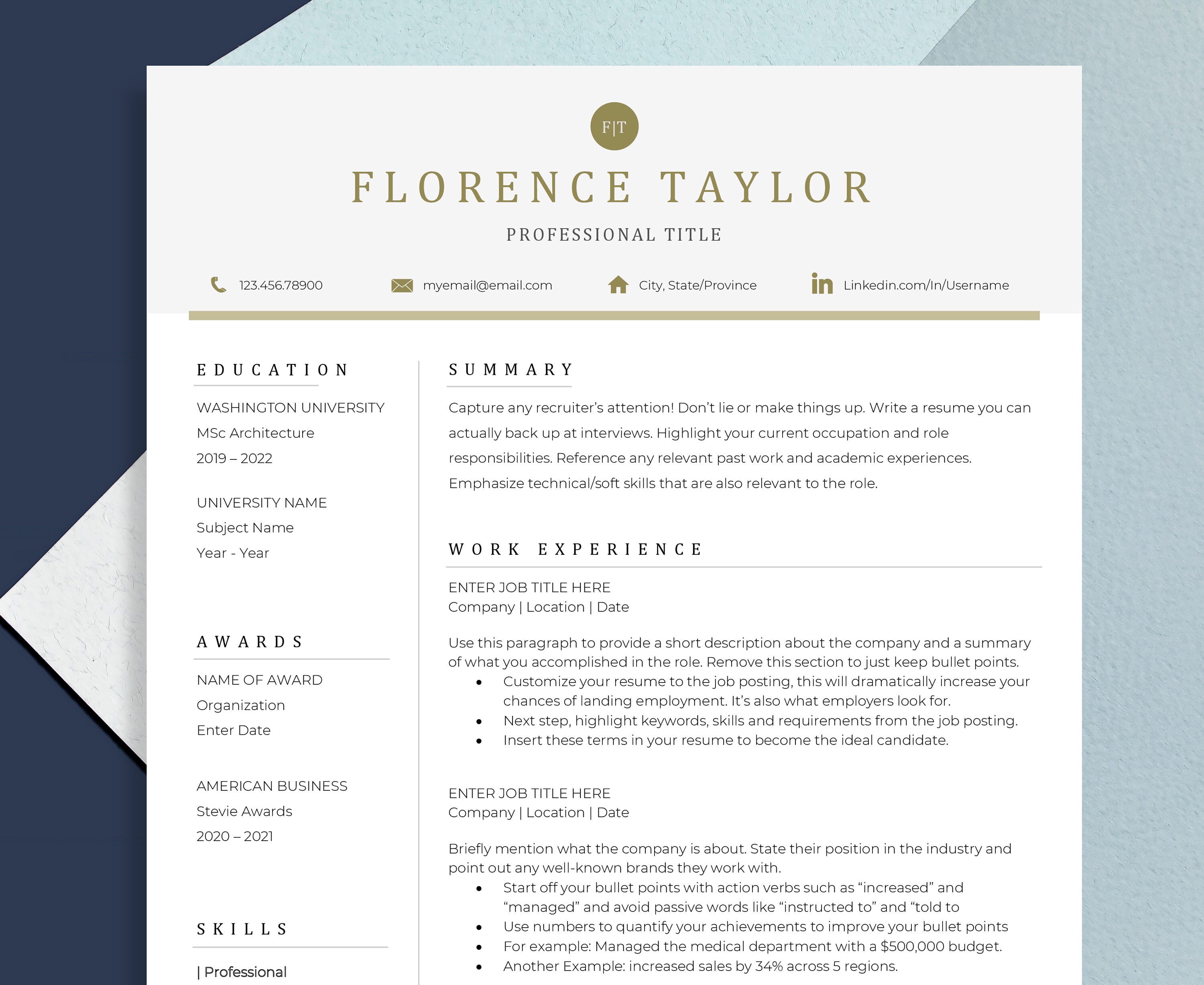 Classic Professional Resume Template, Professional Resume, Executive CV ...
