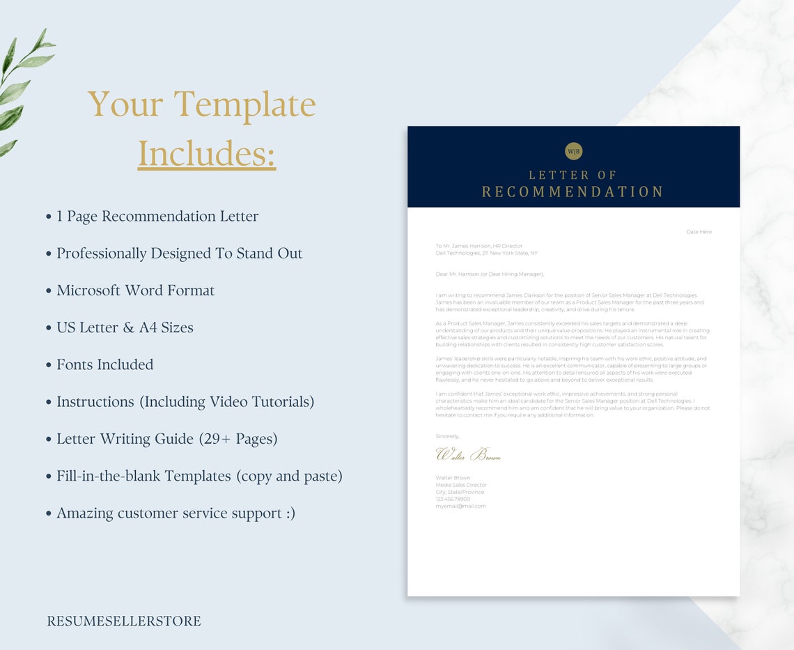 Professional Reference Letter Template, Letter of Recommendation ...