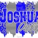 Joshua Owls Png (digital Download Only) Brushstrokes/leopard Print - Etsy