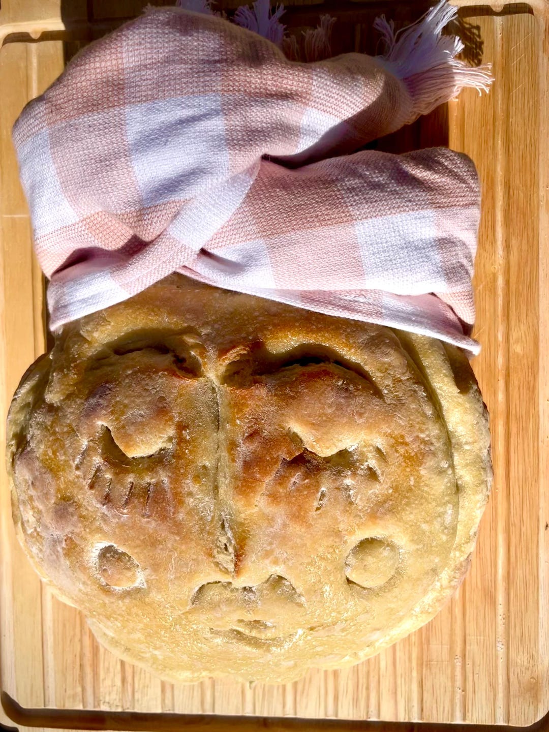 Wilma- Dehydrated Sourdough Starter - Etsy