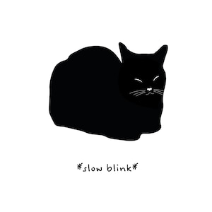 Slow Blink, Cat, Birthday, Anniversary, Mother's Day, Valentine's, High ...