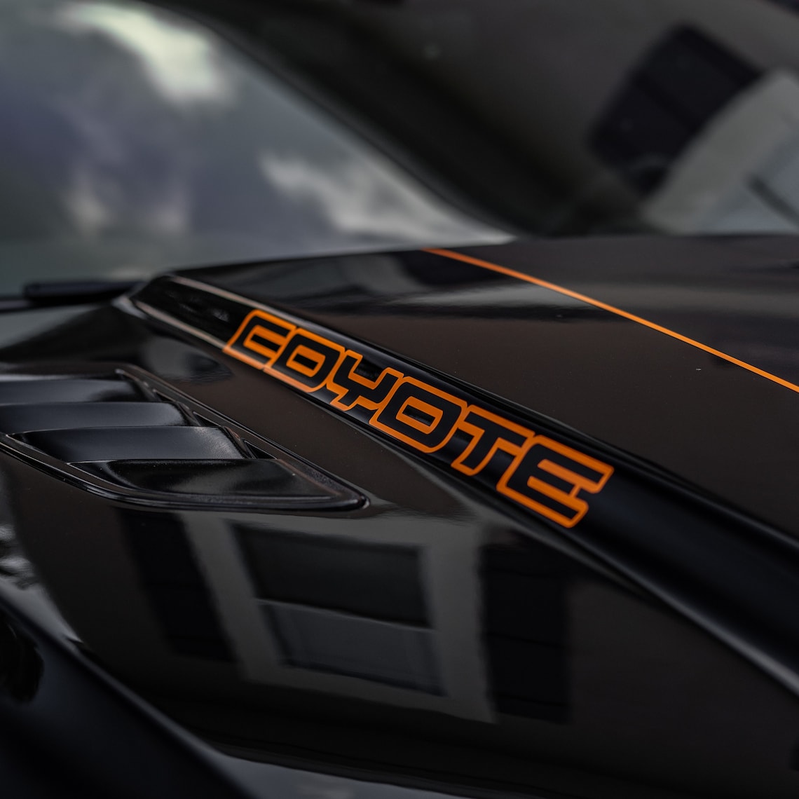 Mustang GT 2-tone Coyote Decal (pair) - Etsy