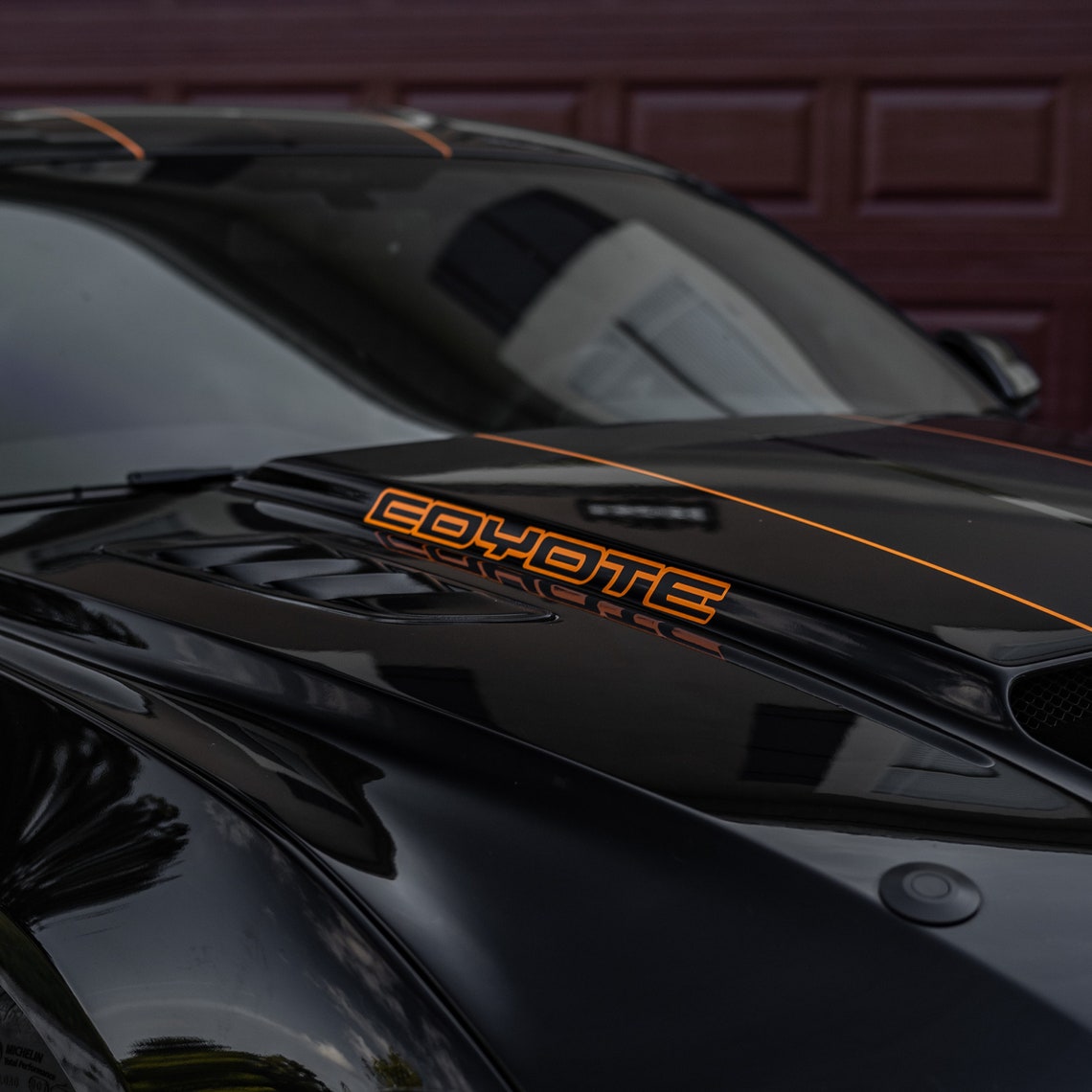 Mustang GT 2-tone Coyote Decal pair - Etsy