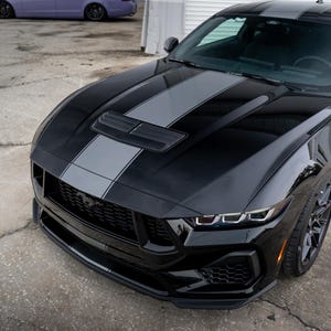 Ford Mustang-shelby Super Snake Racing Stripes Decal Vinyl Sticker Full ...