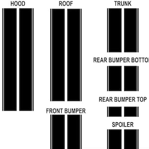 Ford Mustang-shelby Super Snake Racing Stripes Decal Vinyl Sticker Full ...