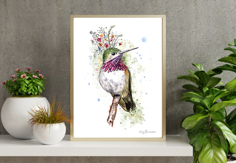 Calliope Hummingbird -whimsical Illustration -home Decor - Chupaflor ...