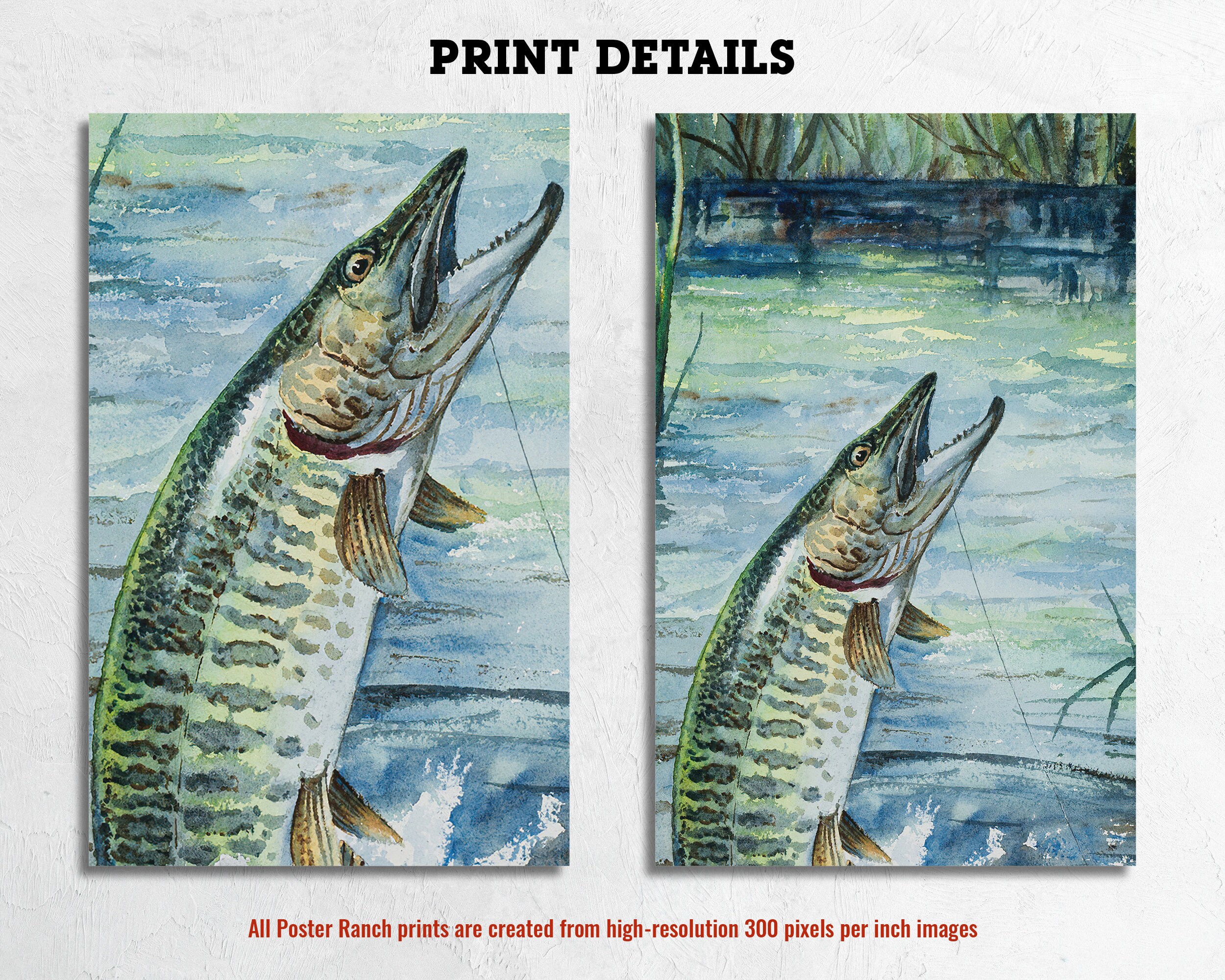 Vintage Muskie Fishing Watercolor by William Joseph Schaldach, Jumping ...