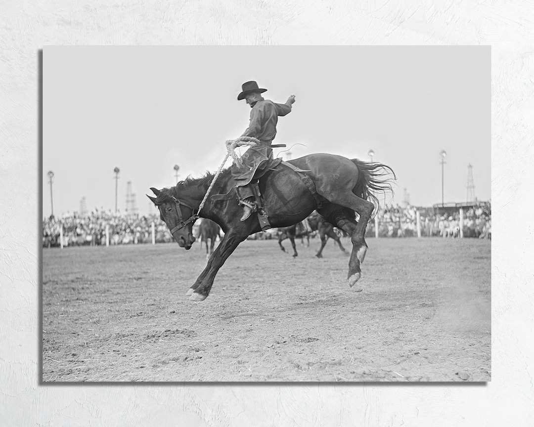 Rodeo Bronc Rider Photo, Bronc Busting, Vintage Rodeo Cowboy Bucking ...