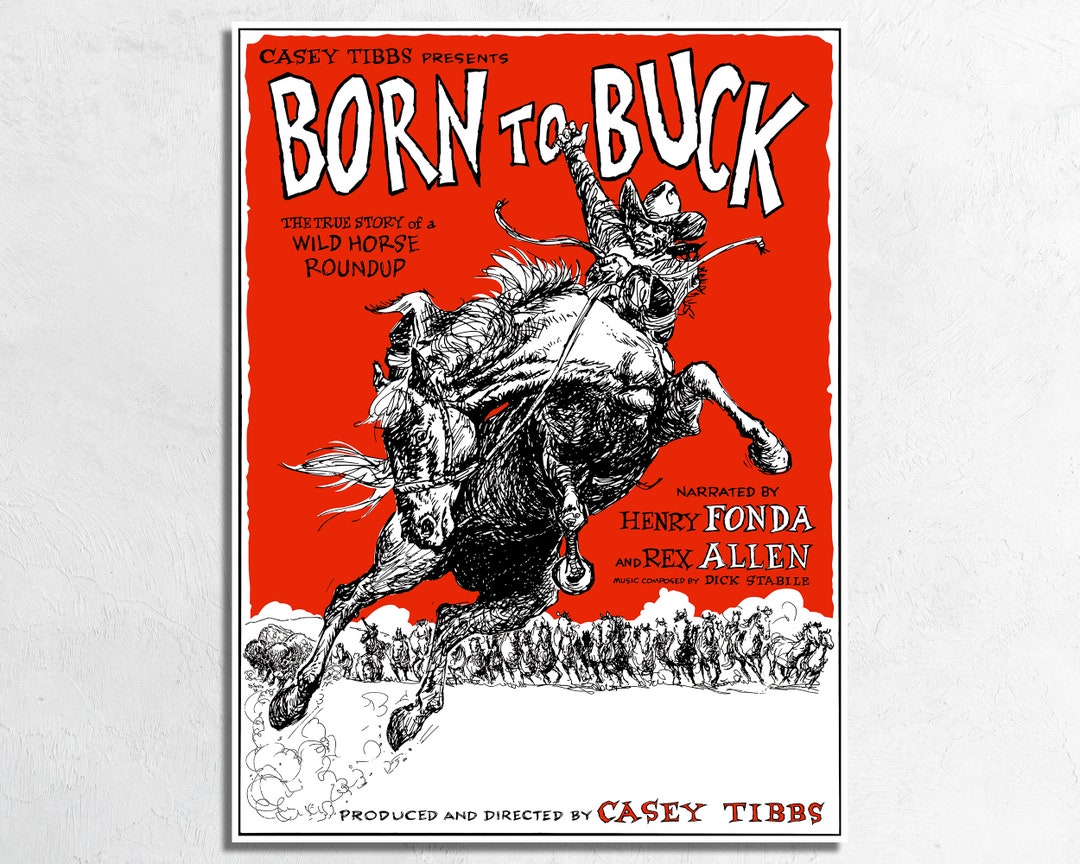 Born to Buck 1966 Movie Poster, Wild Horse Round-up, Bronc Busting ...
