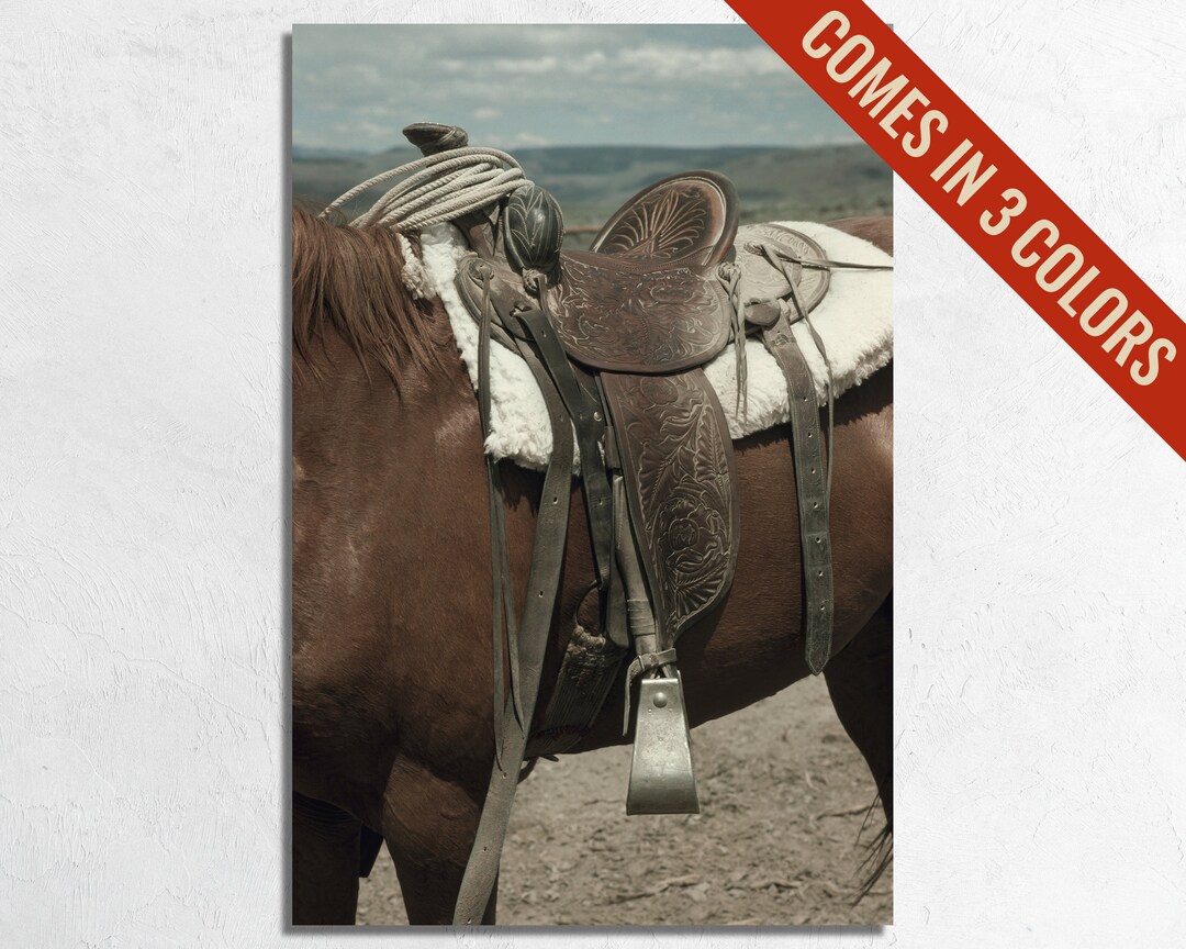 Vintage Buckaroo Horse Saddle Photo Print, 1978 Cowboy Horse Saddle ...