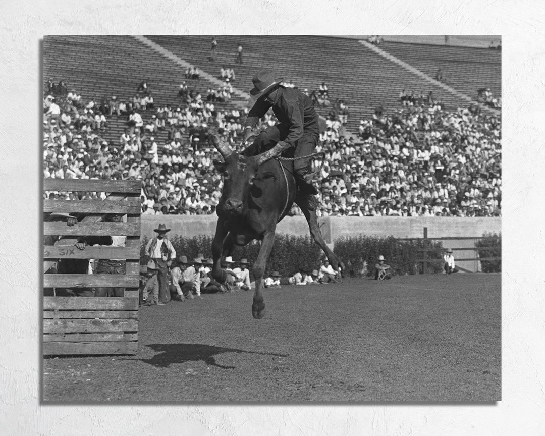Vintage Rodeo Bull Rider Photo by Richard Olson, Cowboy Bull Riding ...