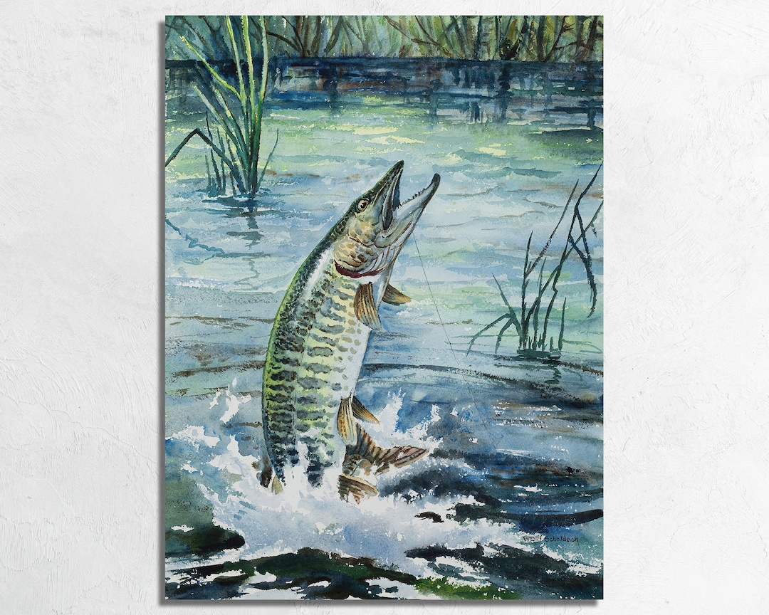 Vintage Muskie Fishing Watercolor by William Joseph Schaldach, Jumping ...