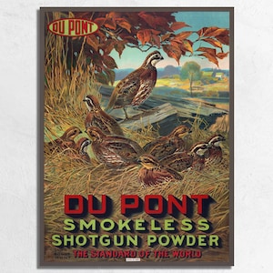 1913 Du Pont Shotgun Powder Ad Poster by Lynn Bogue Hunt, Vintage Quail ...