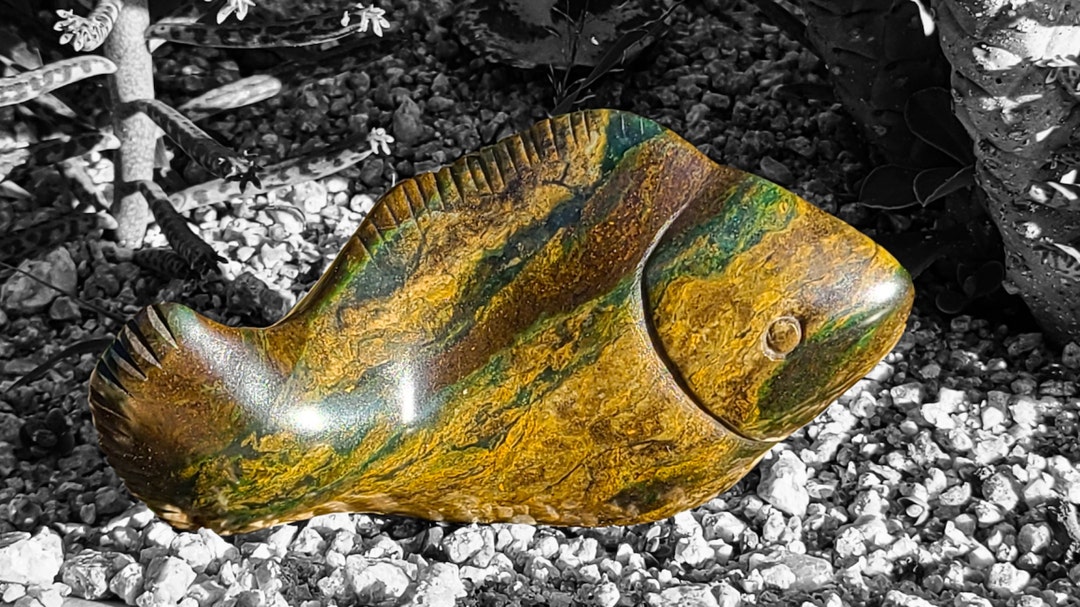 Camouflage Verdite Fish From Africa - Etsy