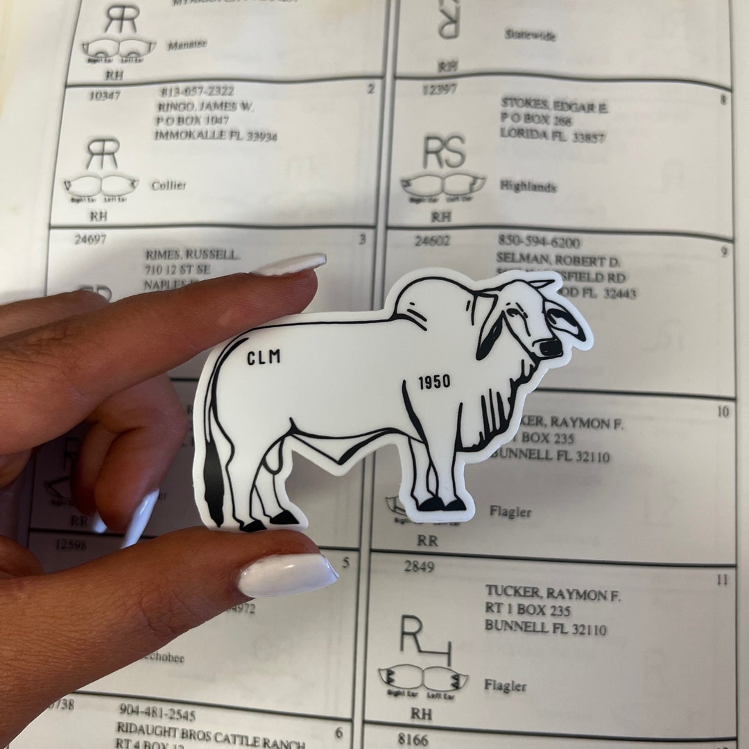 Cattlemen's Brahman Bull - 3x2 In - Etsy