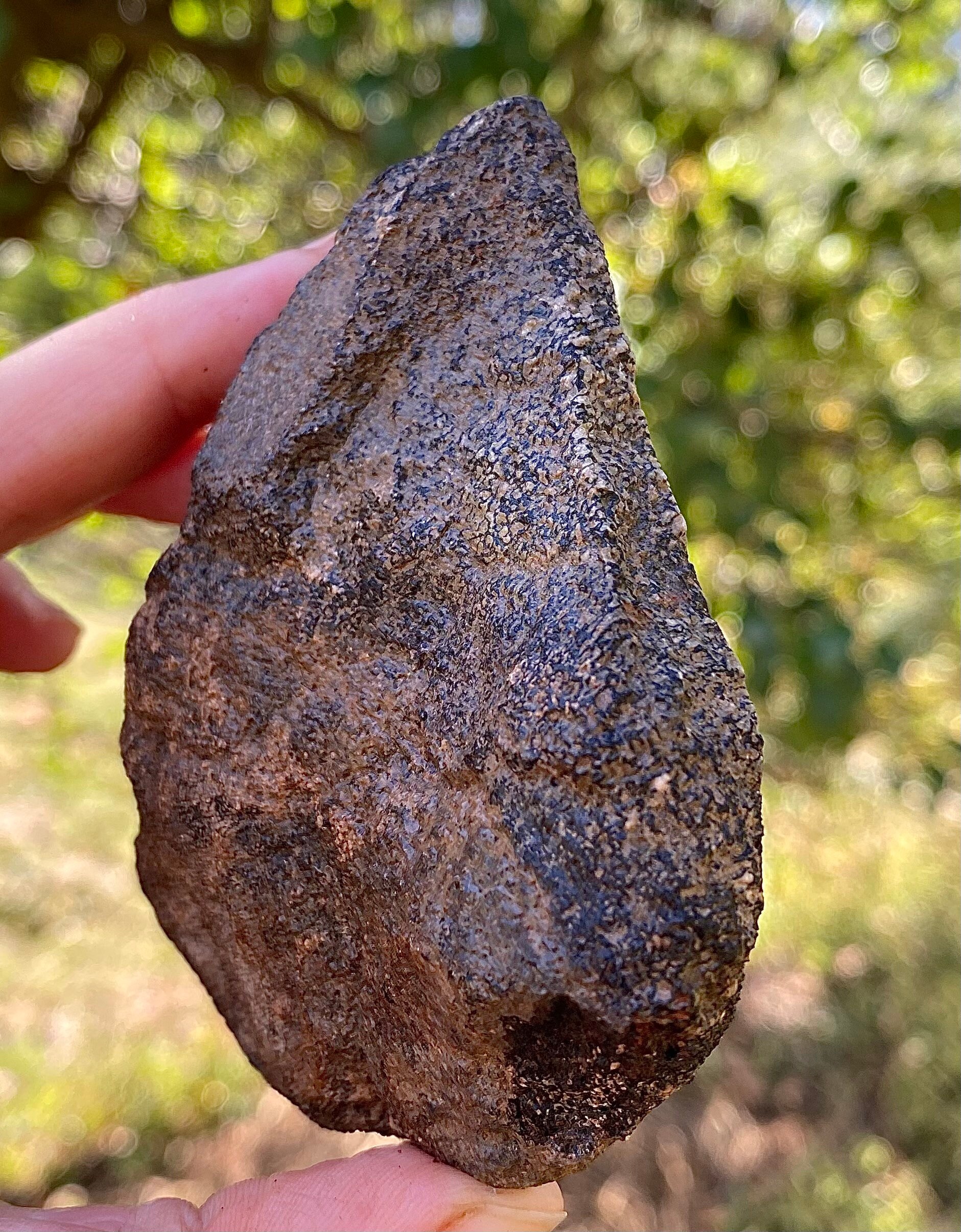 Dinosaur Gem Bone With Good Cell Formation, Slab And/or Cabochon Ready ...