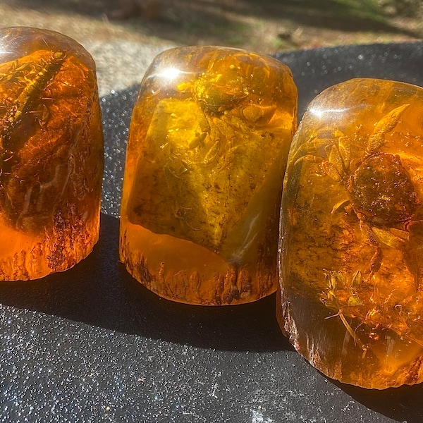 Amber With Insect - Etsy