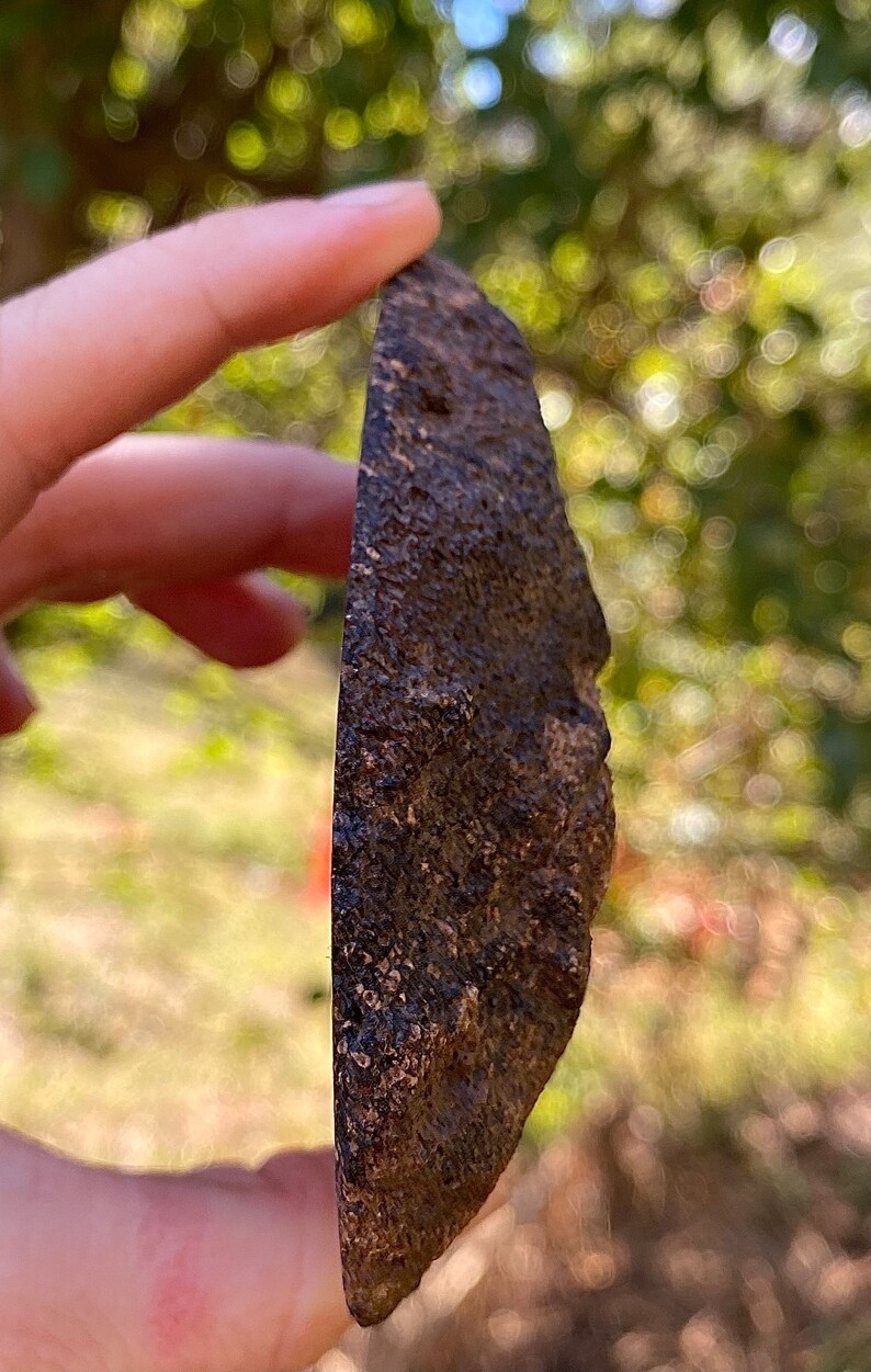 Dinosaur Gem Bone With Good Cell Formation, Slab And/or Cabochon Ready ...