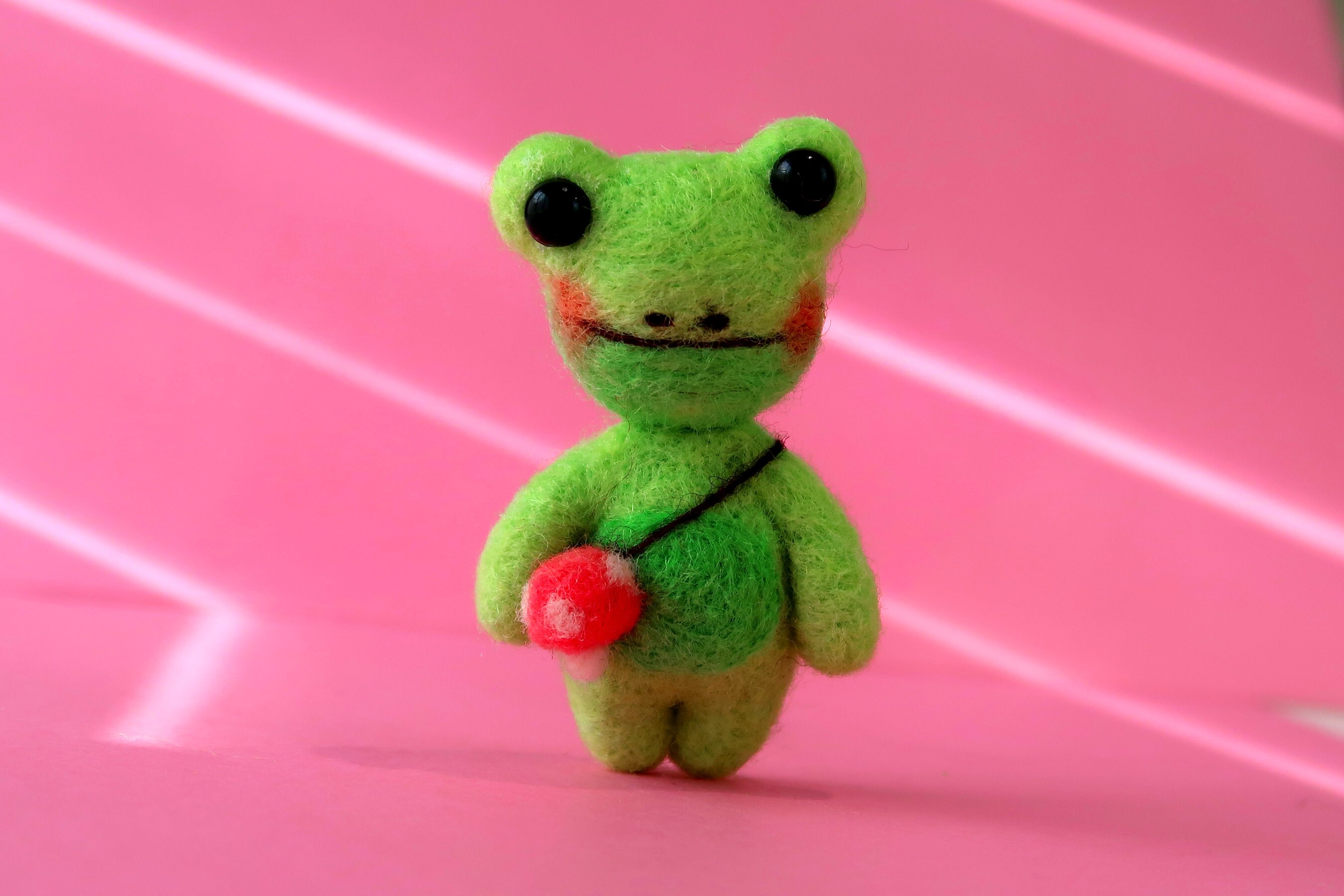 Frog Needle Felting Kit - Make Your Own DIY Felted Friend Craft Kit ...