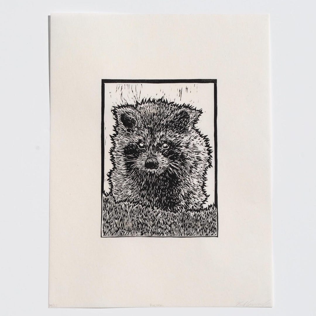 Raccoon Hand Carved Linocut Relief Print Racoon - Etsy