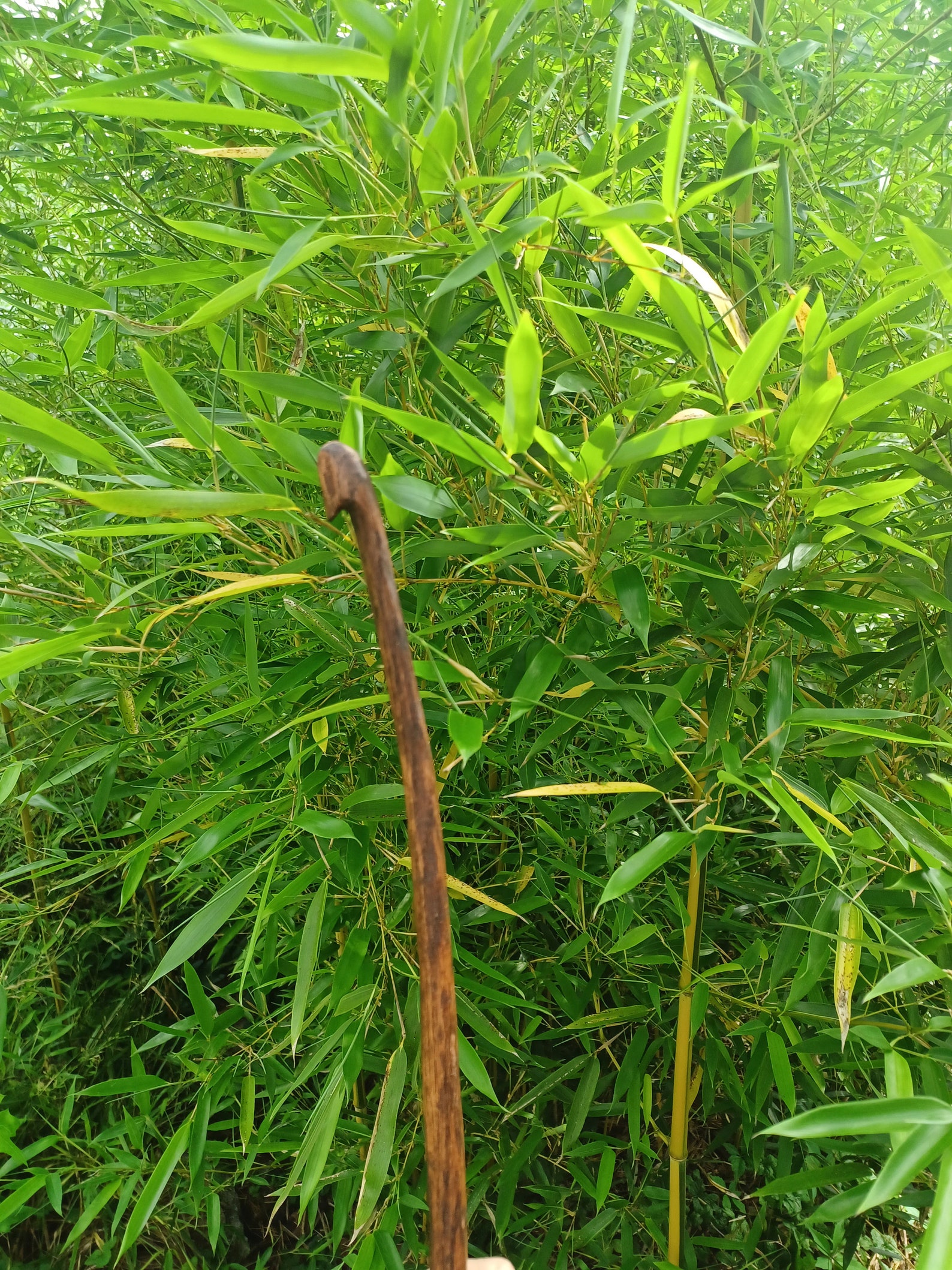 Atlatl spear Thrower - Etsy