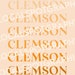 Clemson Orange Poster Set - Etsy