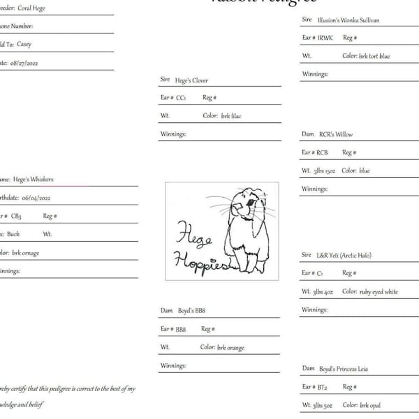 Pedigree Chart - Etsy