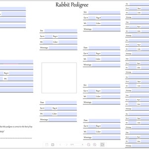 RABBIT PEDIGREE TEMPLATE - Blank Rabbit Pedigree - Printable Instant ...