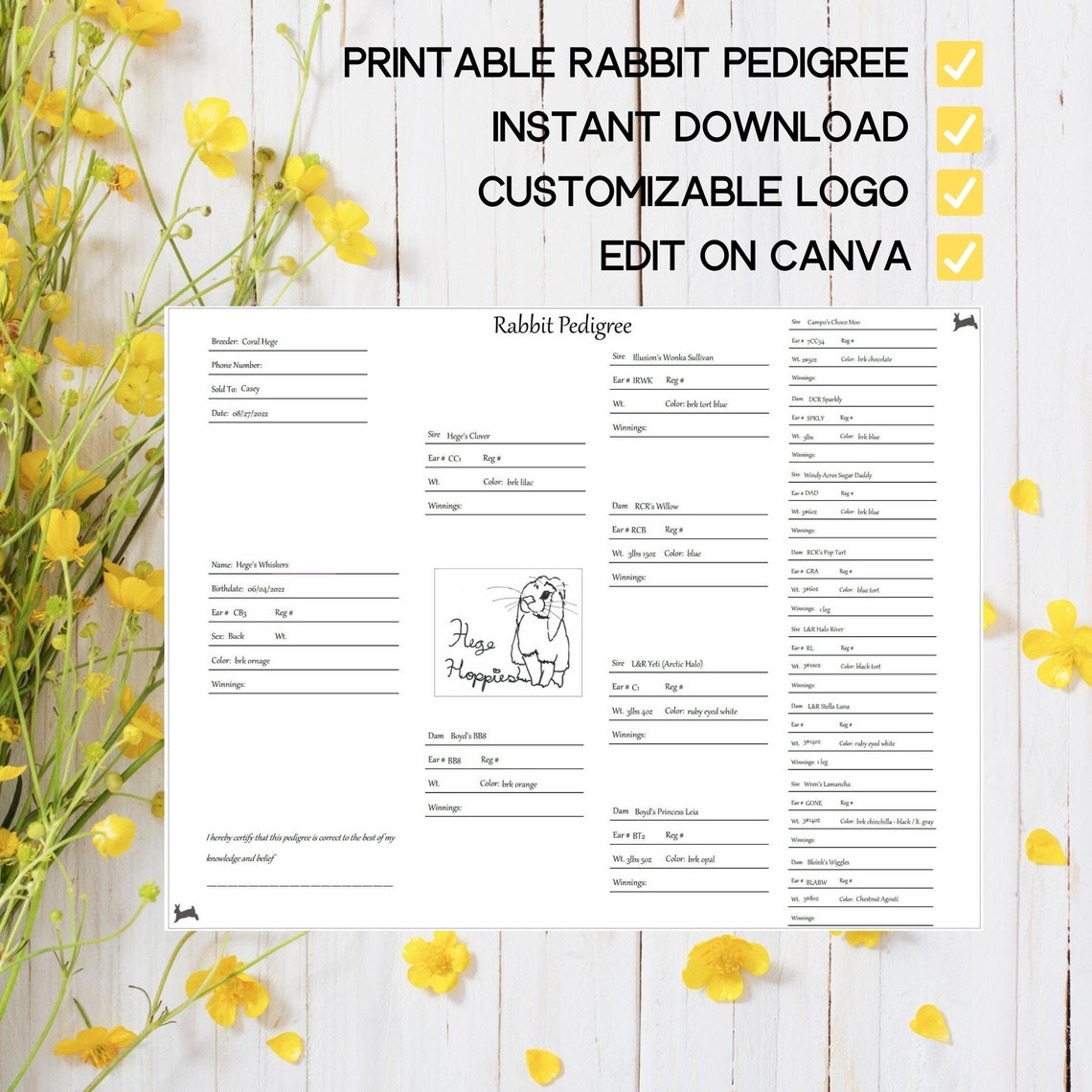 RABBIT PEDIGREE TEMPLATE Blank Rabbit Pedigree Printable - Etsy