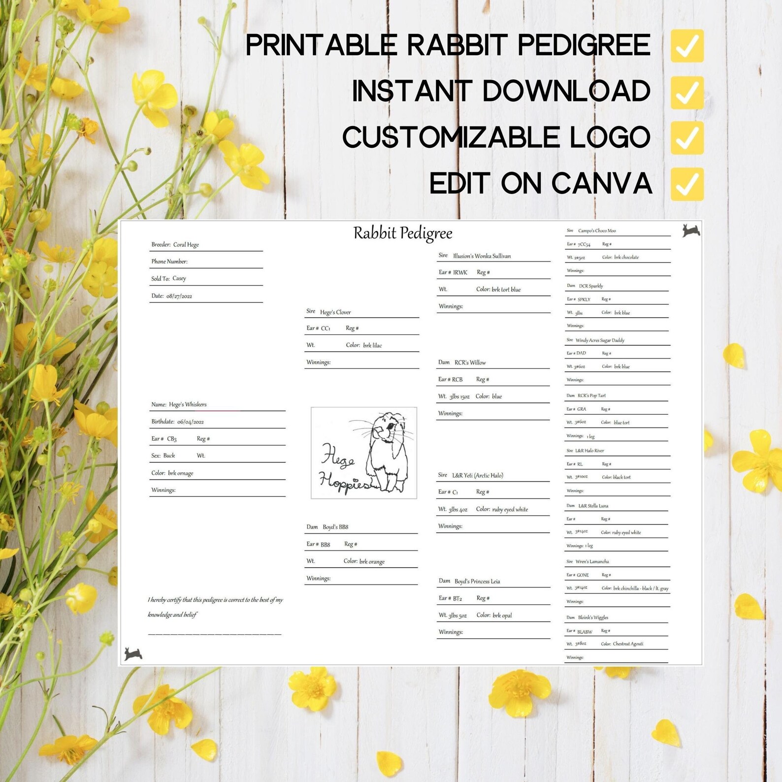 RABBIT PEDIGREE TEMPLATE Blank Rabbit Pedigree Printable - Etsy