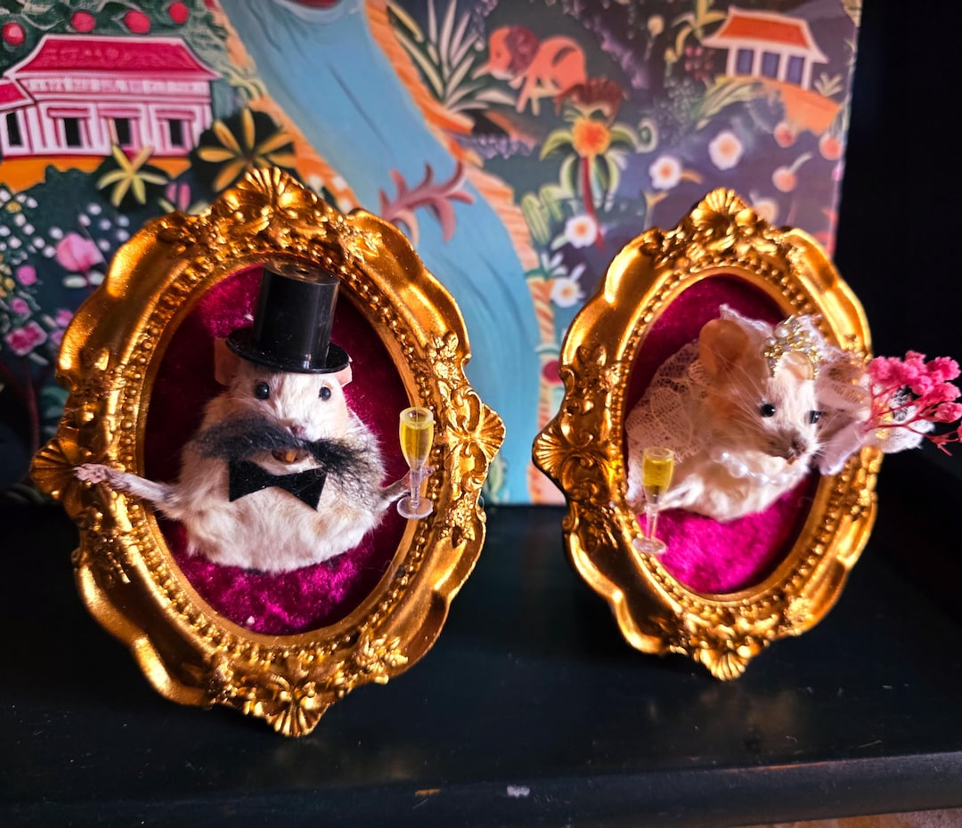 Cute Wedding Mouse Taxidermy Framed. Bride and Groom Mice Quirky Oddity ...