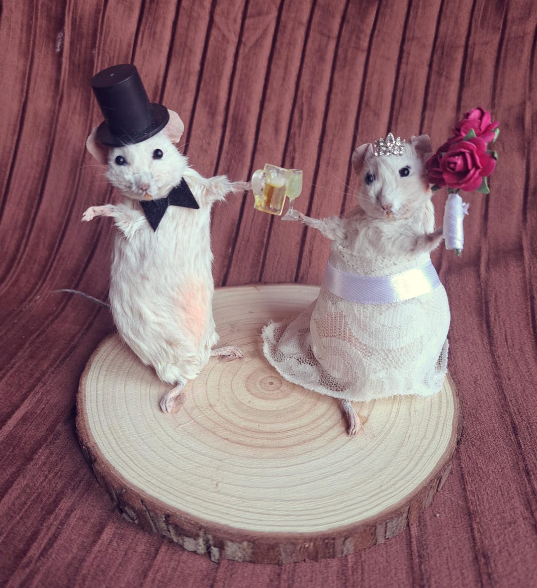 Wedding Mouse Taxidermy: Bride & Groom Oddity Decor - Etsy