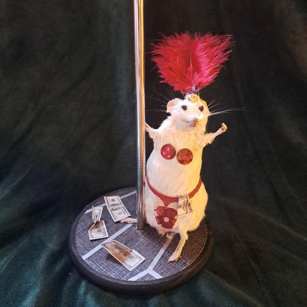 Taxidermy Rat Etsy