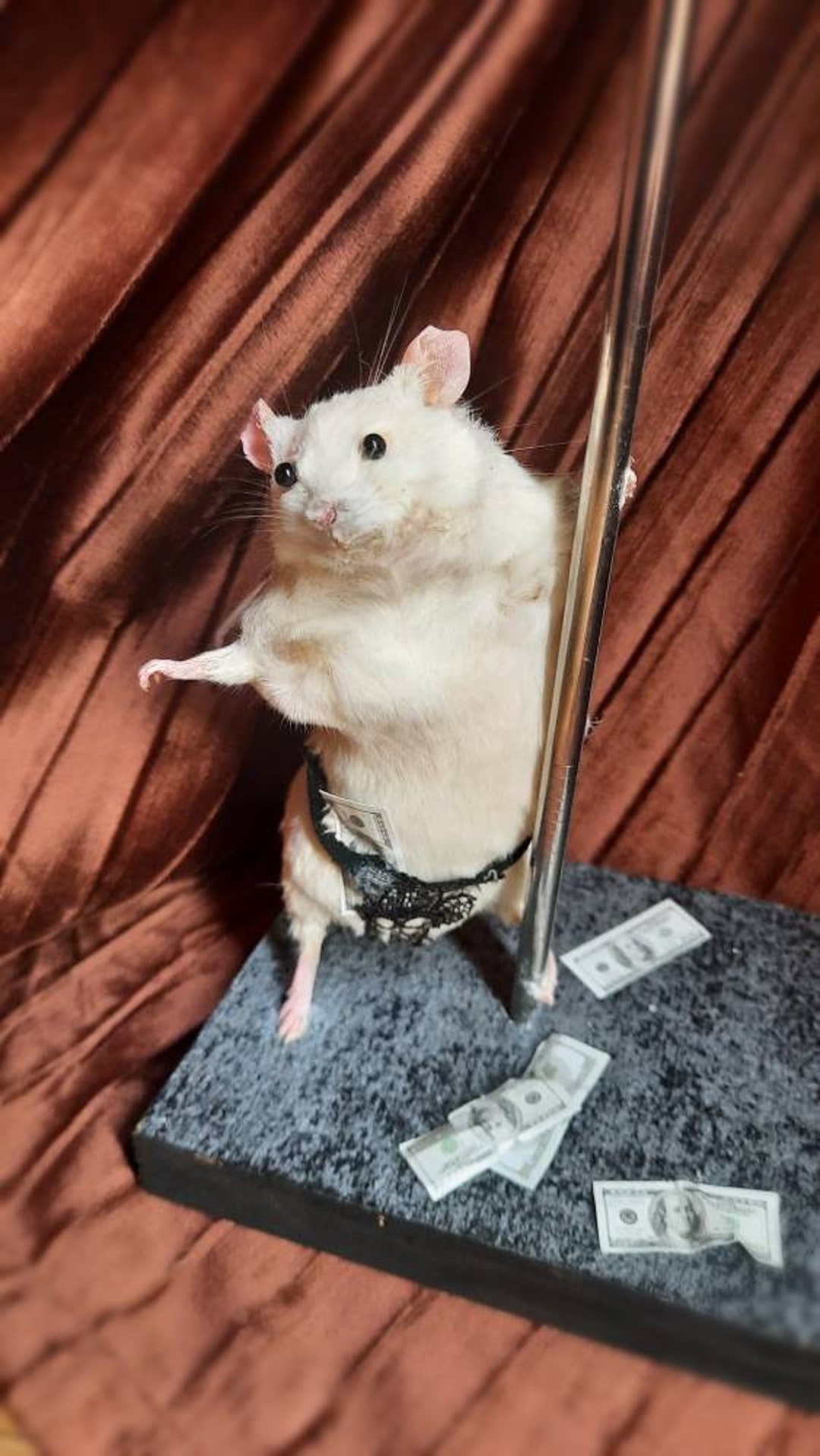 Mouse Rodent Taxidermy Fun Anthropomorphic Taxidermy, Pole Dancing ...