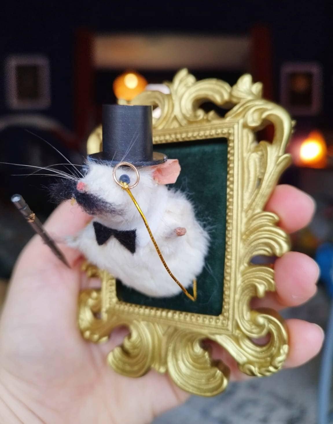 Gentleman Mouse Head Taxidermy Mounted and Framed in Gold - Etsy UK